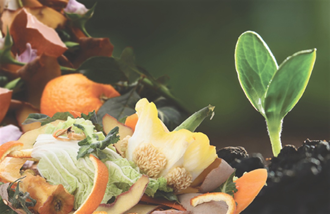 SB 1383 Requirements – City of Palo Alto, CA